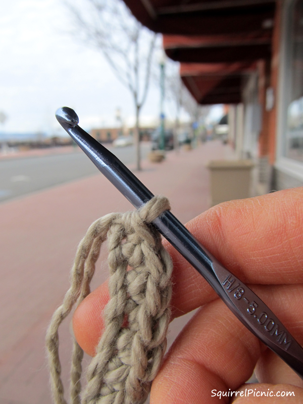 The Sleepyz Blanket: Crocheting Zs Everywhere I Go | Squirrel Picnic