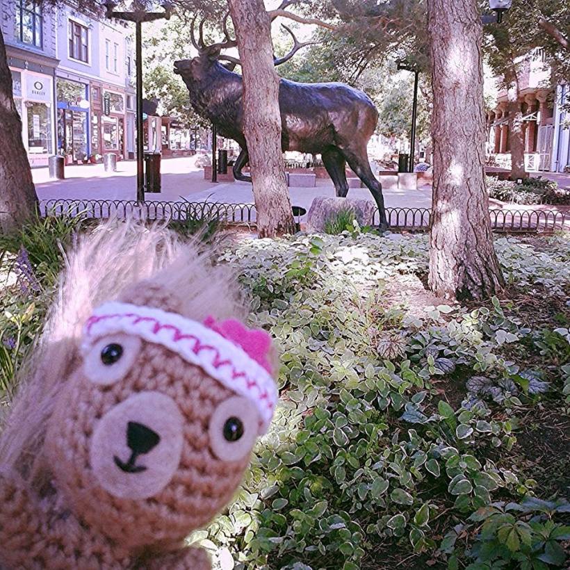 Podge’s 30 Day Healthy Habit Challenge | Squirrel Picnic