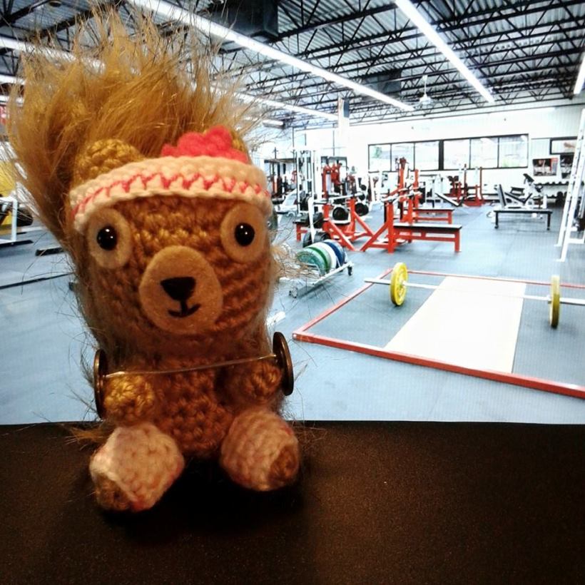 Podge’s 30 Day Healthy Habit Challenge | Squirrel Picnic